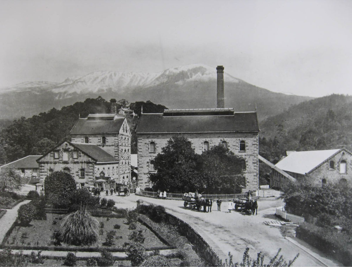 History – CASCADE BREWERY BAR - CASCADE BREWERY CO