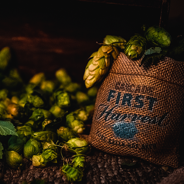 Beers – CASCADE BREWERY BAR - CASCADE BREWERY CO